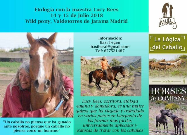 Clínic de etología – Equisens