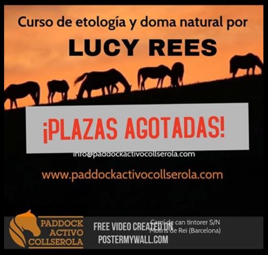 Curso de Etología y Doma Natural – Equisens