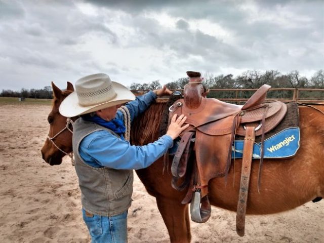 La importancia de ensillar y desensillar a un caballo correctamente ...