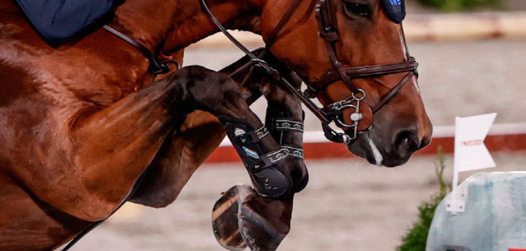 Nueva investigación sobre por qué los caballos descalzos siguen siendo ...
